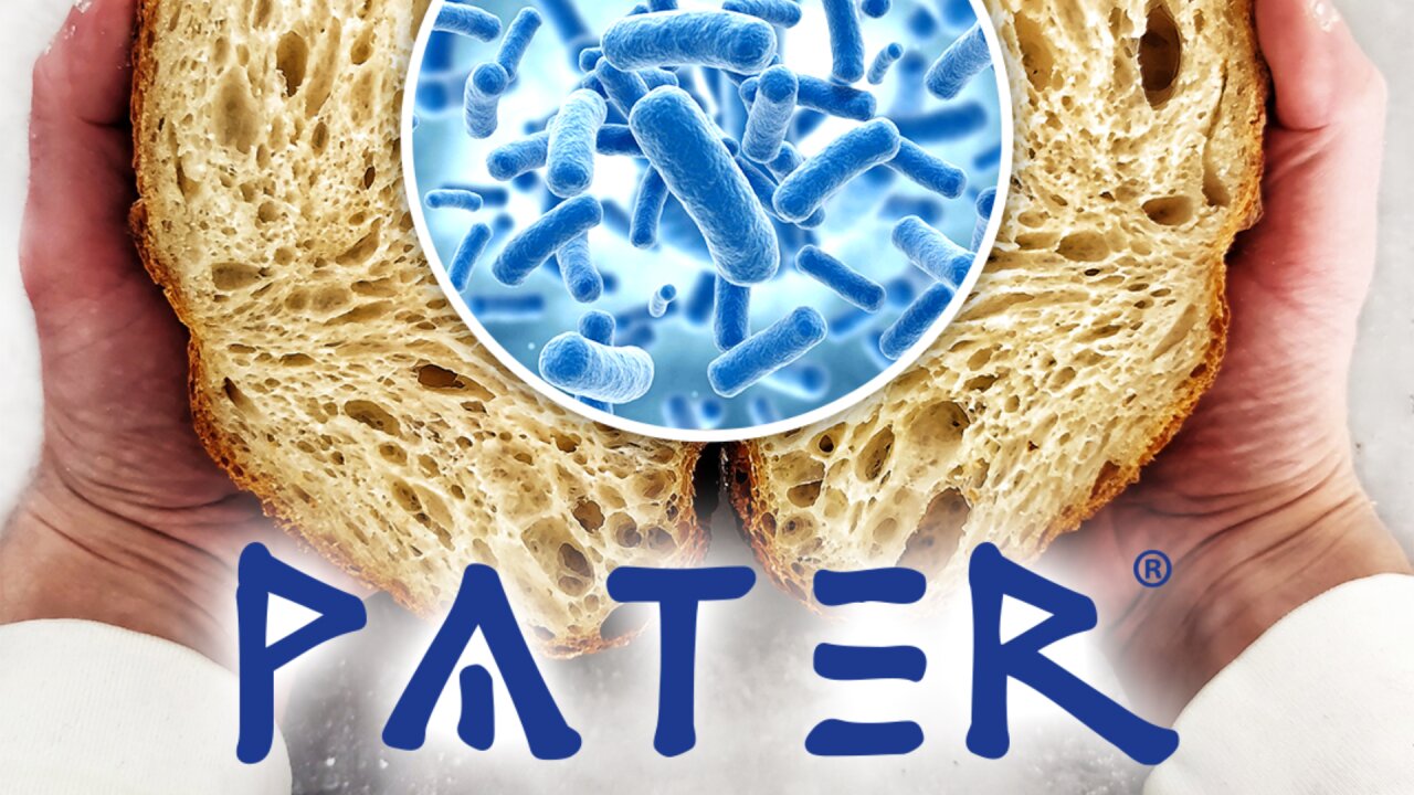 New Pater® – Life Inside: Revolutionizing the art of Bakery with the ...